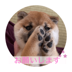 kasu_20220318000542 – LINE stickers | LINE STORE