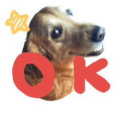 coco-dog – Stickers LINE | LINE STORE