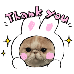 PIPPER – LINE stickers | LINE STORE