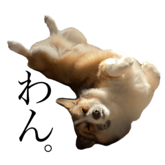 ayaka_20220322003613 – LINE stickers | LINE STORE