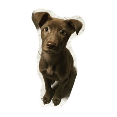 cpp_20220322153416 – LINE stickers | LINE STORE