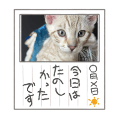reo_20220322235919 – LINE stickers | LINE STORE