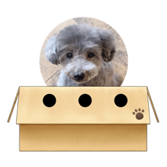 kumao_20220324025056 – LINE stickers | LINE STORE