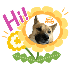 unicha_20220325073113 – LINE貼圖 | LINE STORE