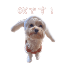 komu&tumu_20220327191118 – LINE 스티커 | LINE STORE