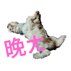 ebu_20220327151912 - Stiker LINE | LINE STORE