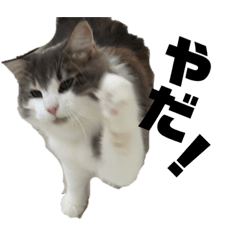 omm LINE stickers & emoji | LINE STORE