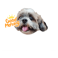 Sprite bong_20220328211929 - LINE スタンプ | LINE STORE