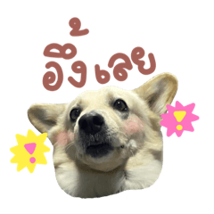 Nene._n_20220331002143 – LINE stickers | LINE STORE