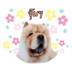 Fayya_20220402224137 – LINE stickers | LINE STORE