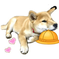 Chun Ping_20220402194122 - Stiker LINE | LINE STORE