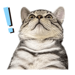 Isabel_20220403024718 – LINE stickers | LINE STORE