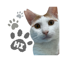 Yan yan_20220403015308 – Stickers LINE | LINE STORE