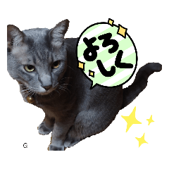 GLAYとなでしこ、たまにチャトランとハチ - LINE スタンプ | LINE STORE