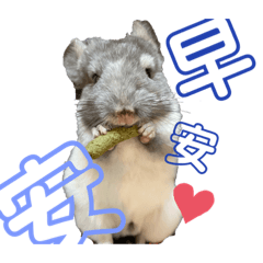 Ruby Jiang_20220408120742 – Stickers LINE | LINE STORE