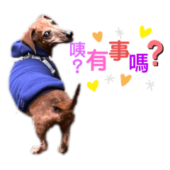 Do-Do and Dan-Dan PART III – LINE stickers | LINE STORE