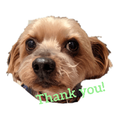 loco_first – LINE stickers | LINE STORE