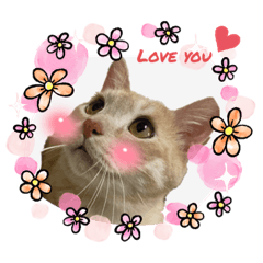 Kai.gi_20220410120317 - LINE スタンプ | LINE STORE