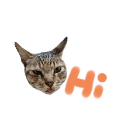 Unana_20220412000404 – LINE stickers | LINE STORE