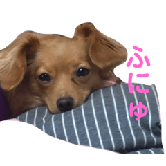 ayuu_20220411132829 - Stiker LINE | LINE STORE