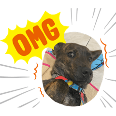 Kimmy_20220412135209 – LINE stickers | LINE STORE