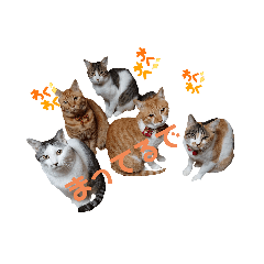 野.dai04 - LINE スタンプ | LINE STORE