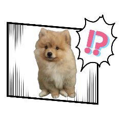 AIENG_20220418022155 – LINE stickers | LINE STORE