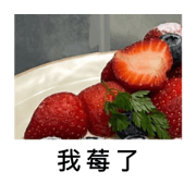 -Homophonic meme 2- – LINE stickers | LINE STORE