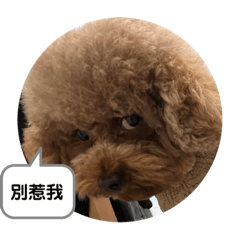 PinChun_20220417234432 - LINE スタンプ | LINE STORE