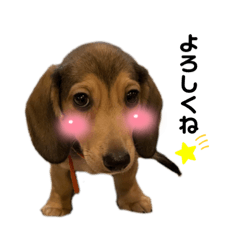 coco_20220424002101 – LINE stickers | LINE STORE