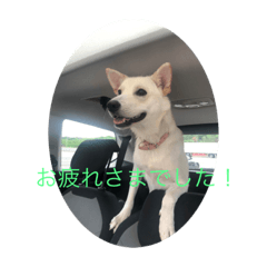 Mit_20220425191232 – LINE stickers | LINE STORE