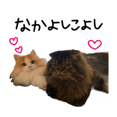 hanamaru_20220428070459 – LINE stickers | LINE STORE