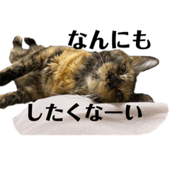 chikazu_20220429143740 – Stickers LINE | LINE STORE