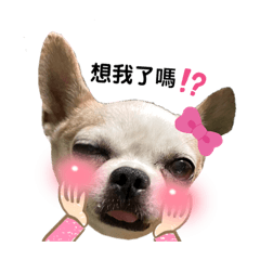 Wan Chun_20220429111251 – LINE stickers | LINE STORE