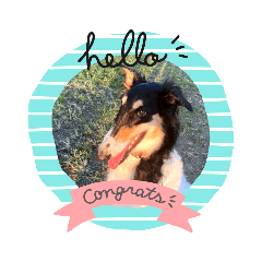 adi_2 – LINE stickers | LINE STORE