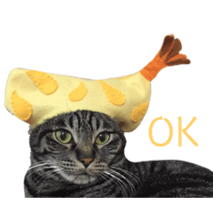 Rei_20220429165741 – LINE stickers | LINE STORE