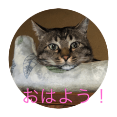 よっ！いい男！ - LINE スタンプ | LINE STORE