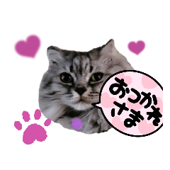 s.sige_20220505032458 – LINE stickers | LINE STORE