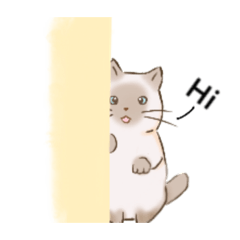 Kichi cat – LINE stickers | LINE STORE