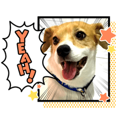 Verisa_20220505215309 – LINE stickers | LINE STORE