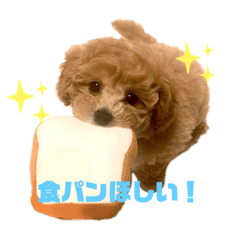 SAPIO_20220506005631 – LINE stickers | LINE STORE