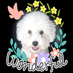 nubi daily - LINE スタンプ | LINE STORE