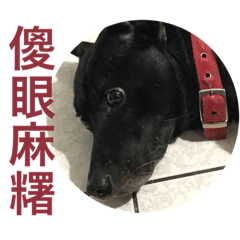 K.H.Wuuu_20220505163141 – LINE stickers | LINE STORE