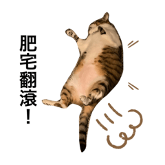 Party Wu_20220506221802 – LINE stickers | LINE STORE