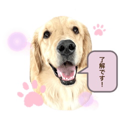 kana_20220506225125 – LINE 스티커 | LINE STORE