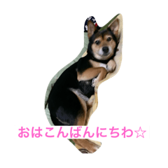 Koharu is lover – Stickers LINE | LINE STORE