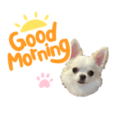 はっくんのきもちスタンプ - LINE スタンプ | LINE STORE