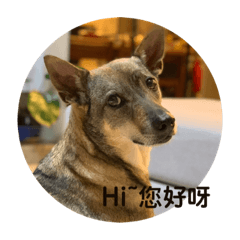 NomyOu_20220510203755 - Stiker LINE | LINE STORE