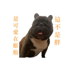 這一家の三肥 2.0 – LINE貼圖 | LINE STORE