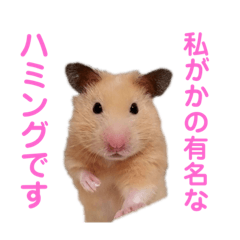 HAMI-style part2 - LINE スタンプ | LINE STORE